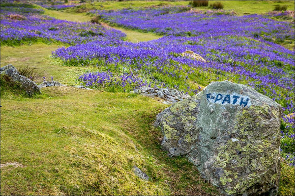 Vale of Lorton - tucked away, yet so much to offer